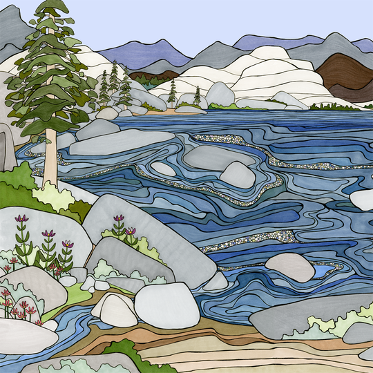 Rebecca Roehr – Volution Gallery